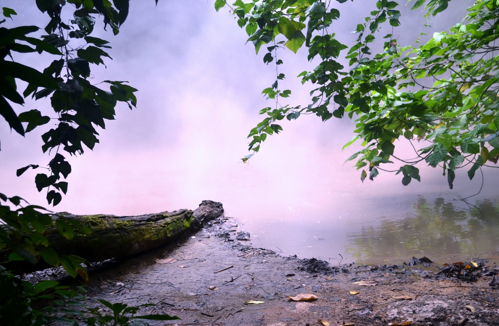 Spent&Wasted: Hike to Mount Makiling (Mudspring Trail)