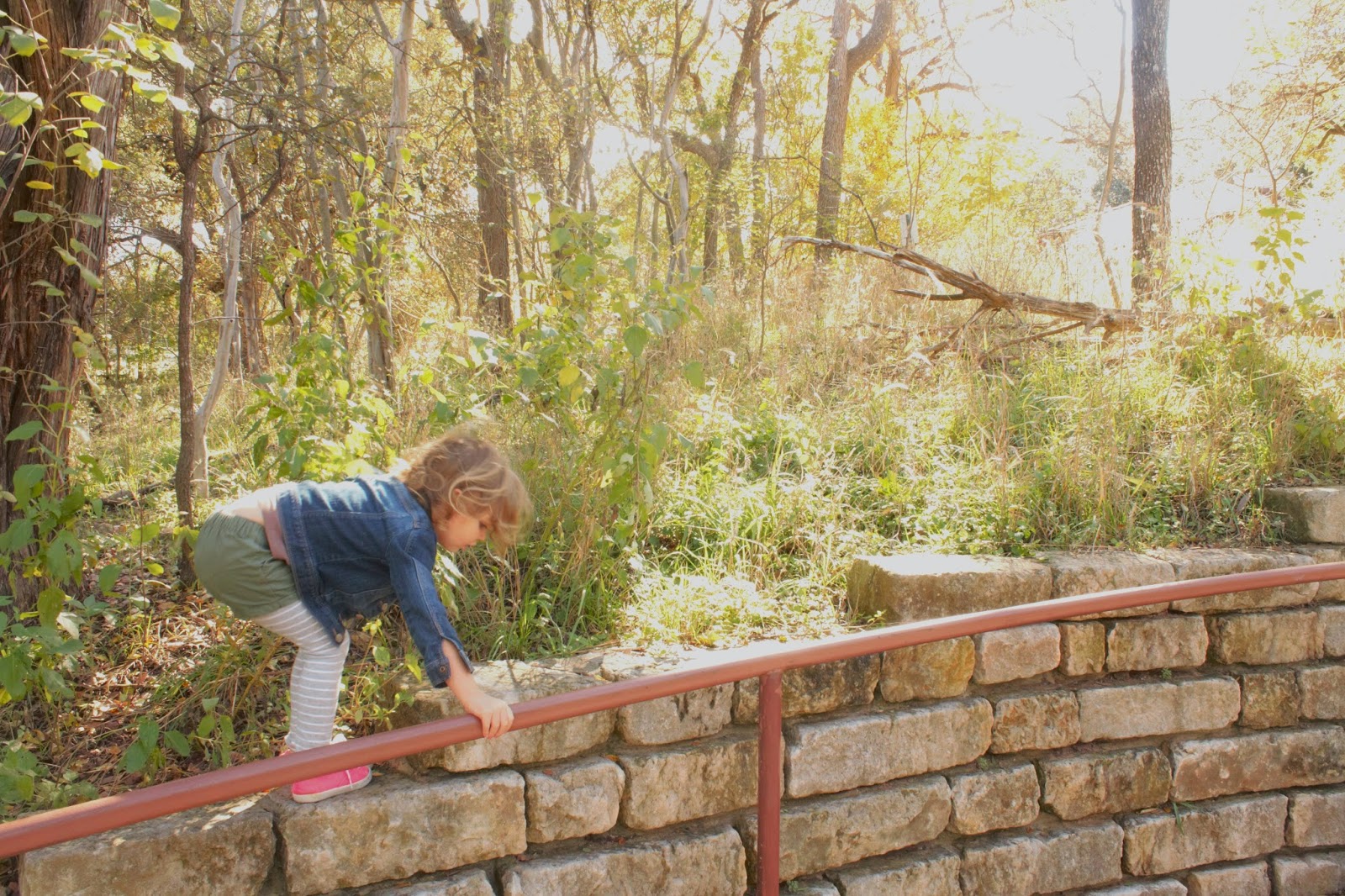 pearl + honey: Austin Science + Nature Center