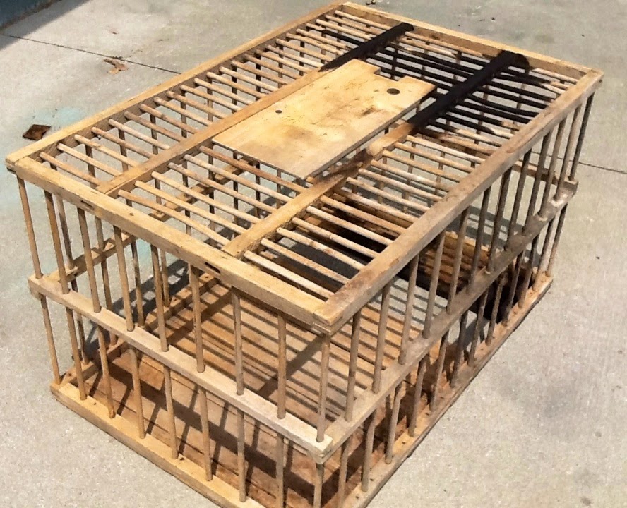 LoveLeigh Again: On the hunt for Turkey....Crates, that is....