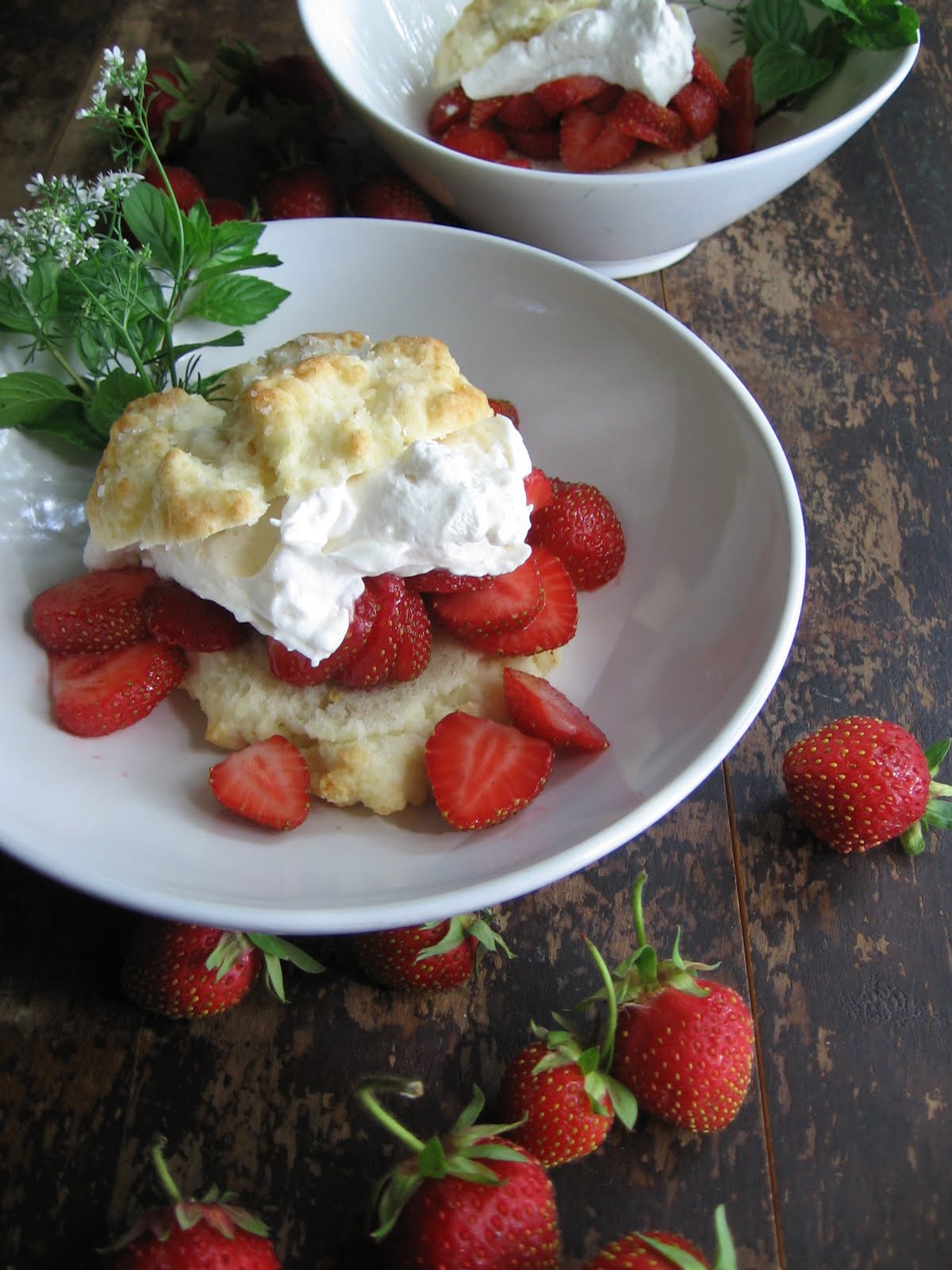 sweetsugarbean: Strawberry Shortcake and Foxy Ladies
