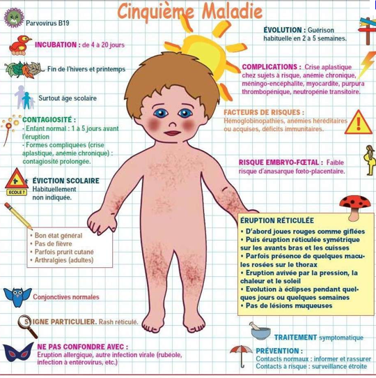 Moments de Maman: La 5ième maladie.