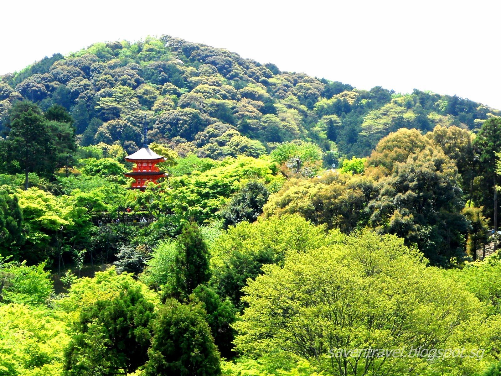 Save & Travel: Japan Golden Week - Kyoto 2/2
