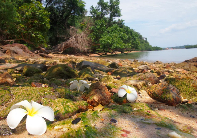 Travelholic: Things To Do in Cape Rachado/Tanjung Tuan, Port Dickson (PD)