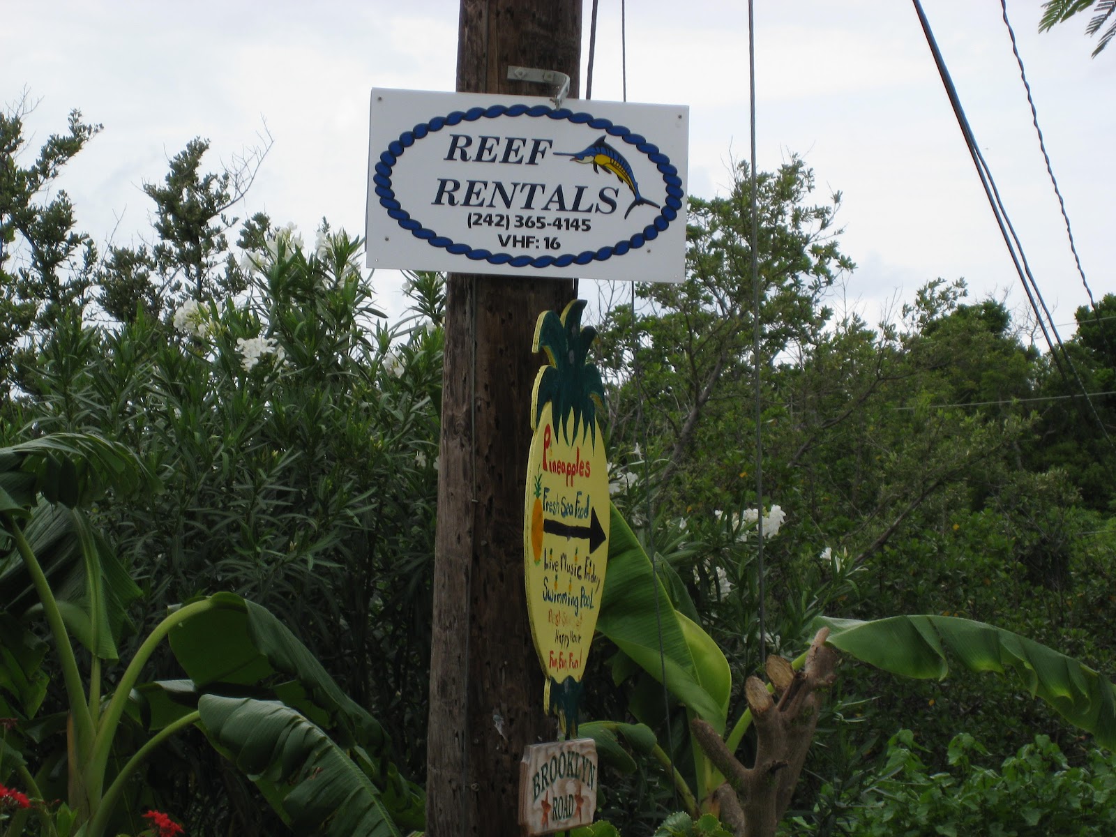Green Turtle Cay, Bahamas: Green Turtle Cay, Abaco Bahamas