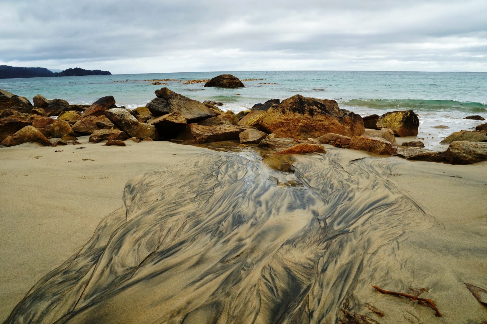 Sommer, Sonne, Kaktus!: Stewart Island