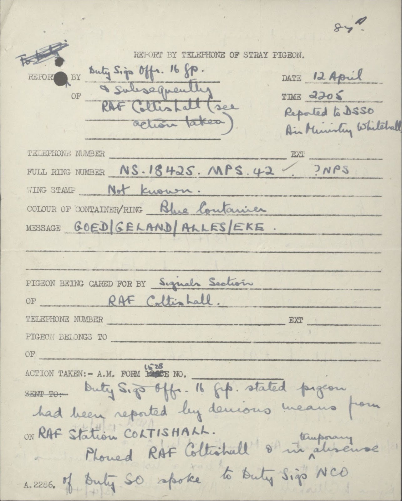 World War 2 History and the WW2 Pigeons: 1944 pigeon delivers coded message