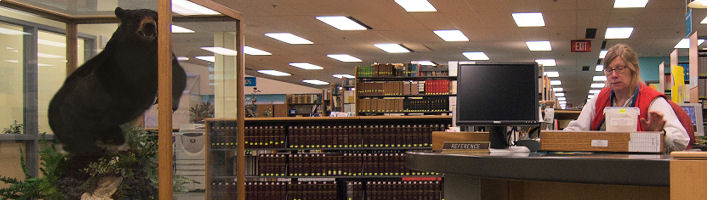 de casa al club: northern exposure (bibliotecària en alaska)