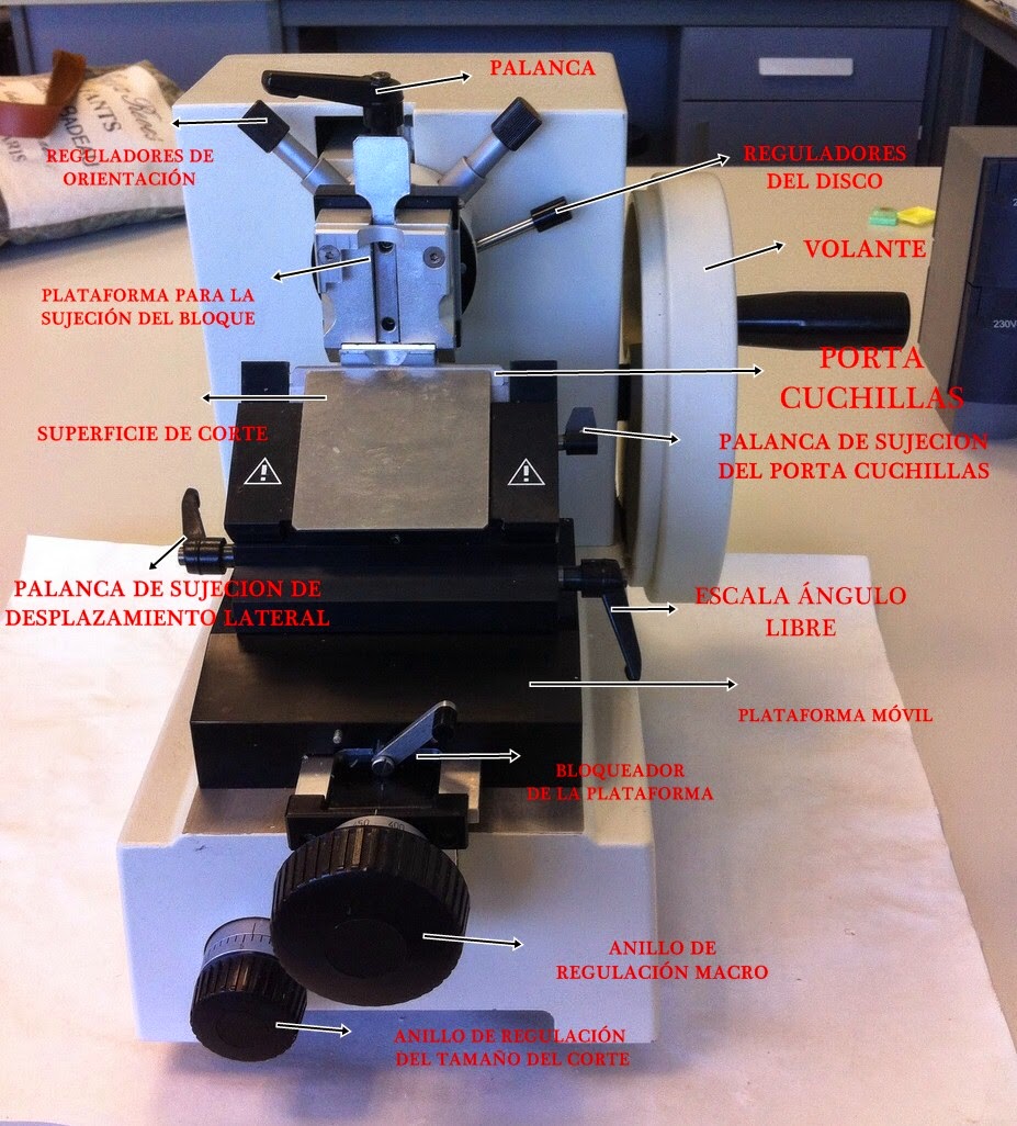 Laboratorio de Anatomía Patológica: MICROTOMO