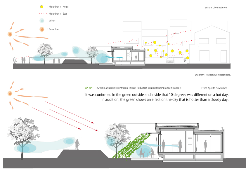 Memanfaatkan Tanaman Rambat Sebagai Sun Shading 7