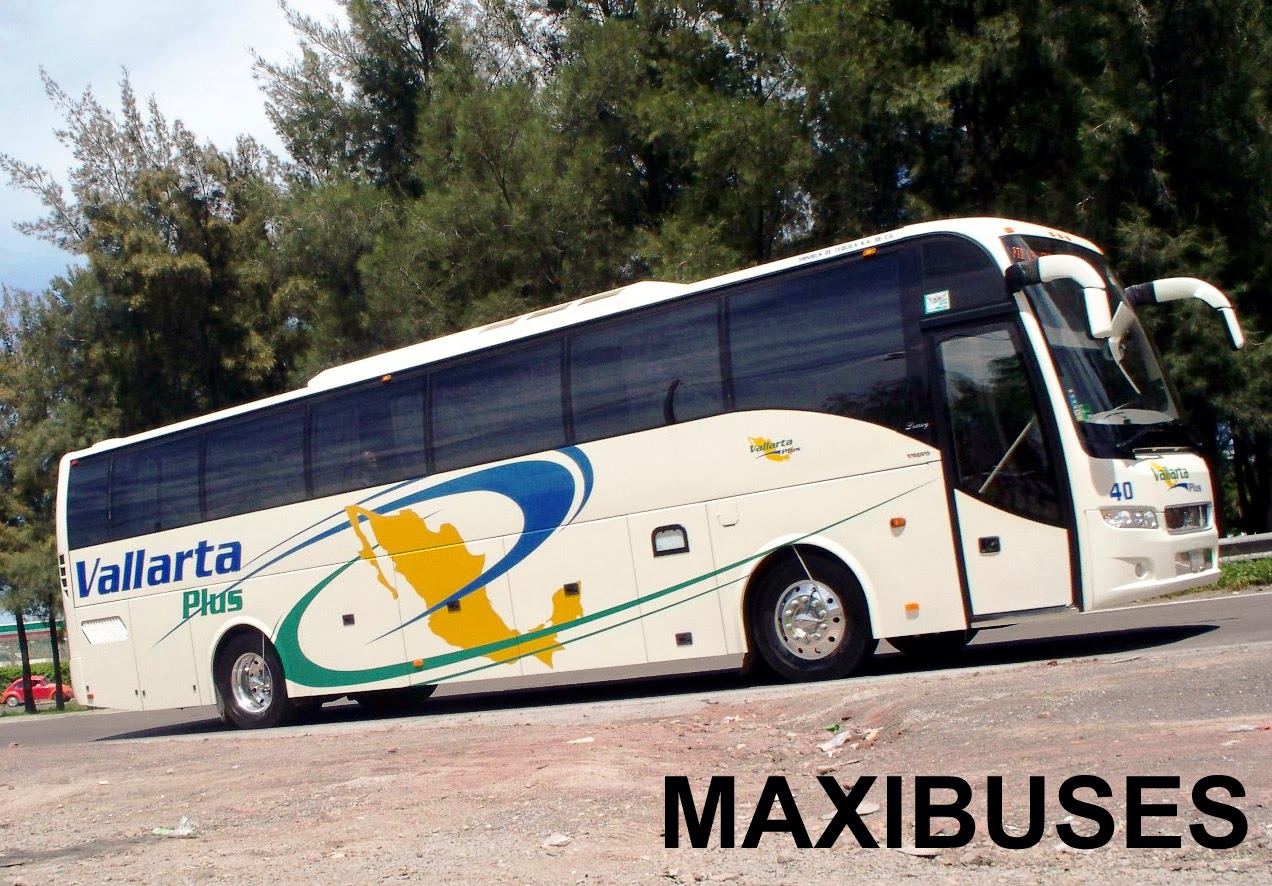 MAXIBUSES: AUTOBUSES VALLARTA PLUS