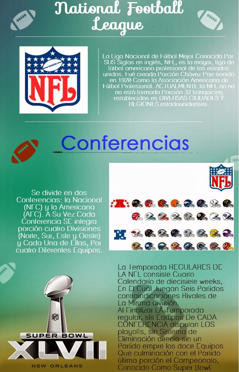 National Football League Season 2013