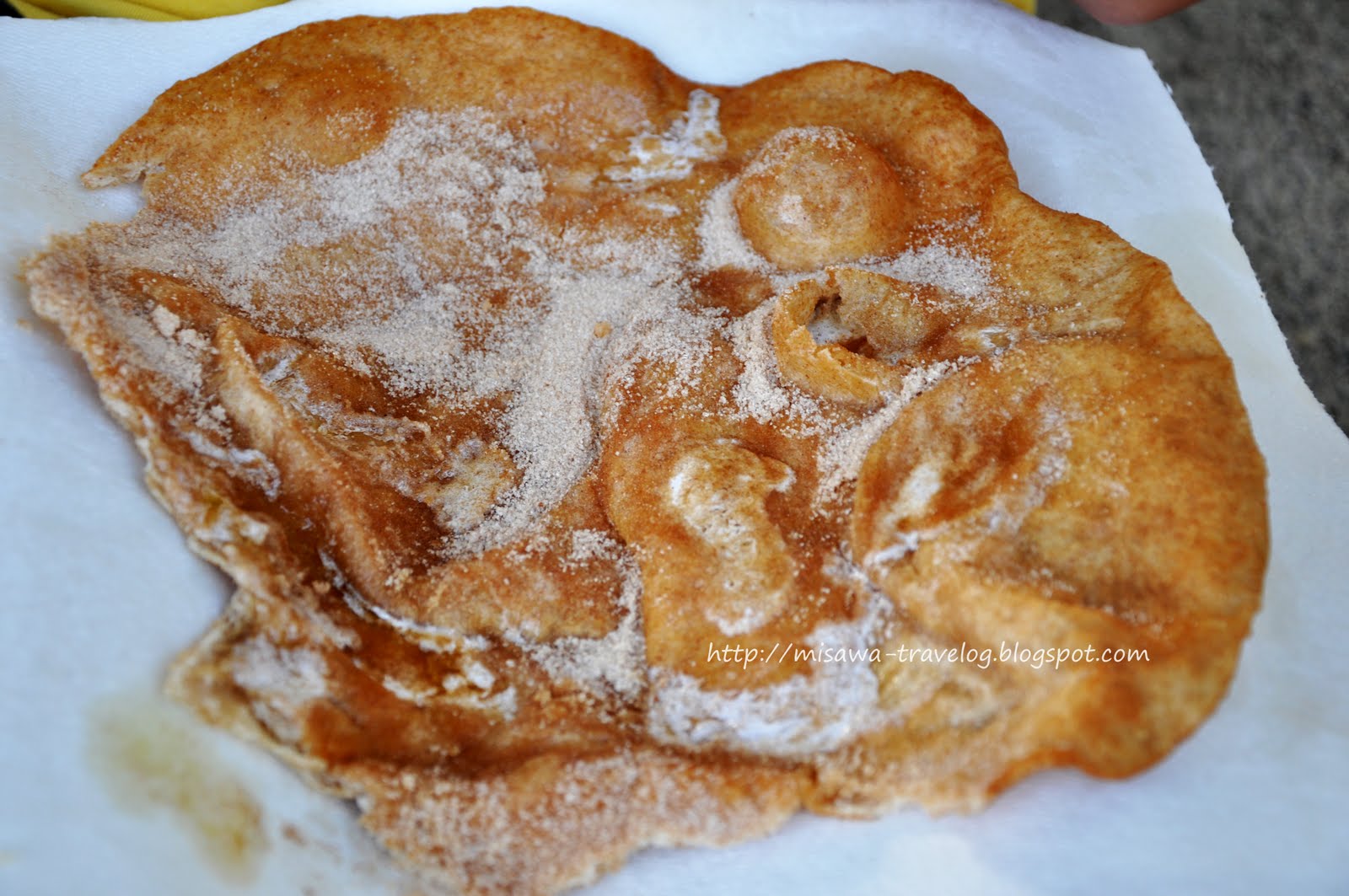 TRAVELOG: Puyallup Fair, Washington