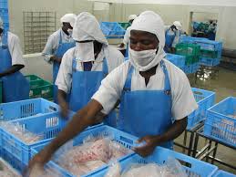 vijuwe viwanda vya kusindika samaki vilivyopo Tanzania - ENTREPRENEURS ...