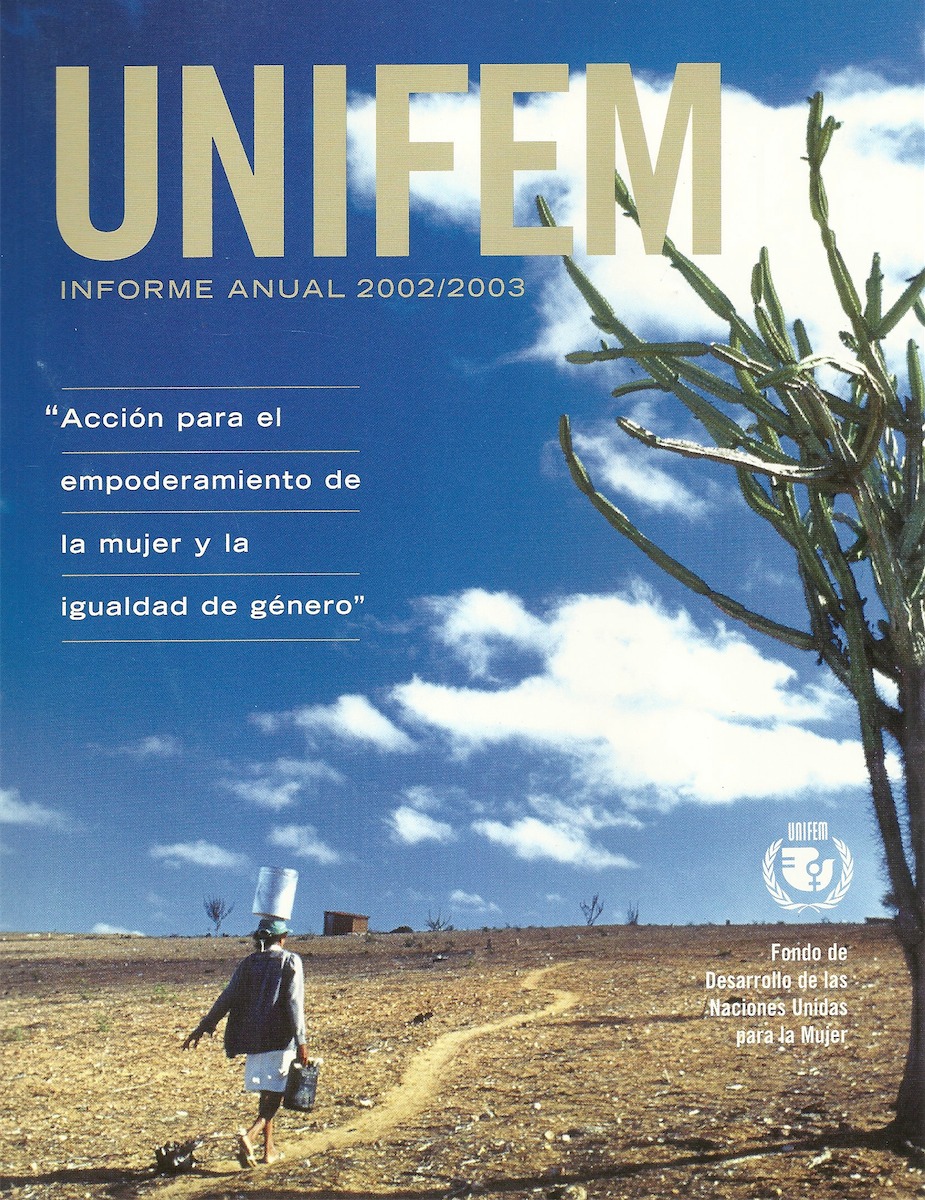 Centro de Documentación "Clementina Díaz y de Ovando": UNIFEM : Informe ...