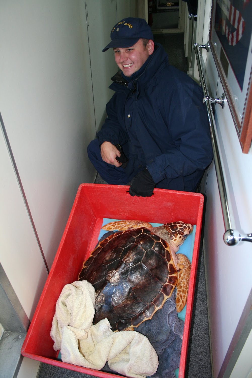 Sea Turtle Hospital: South Carolina Aquarium's Sea Turtle Rescue ...