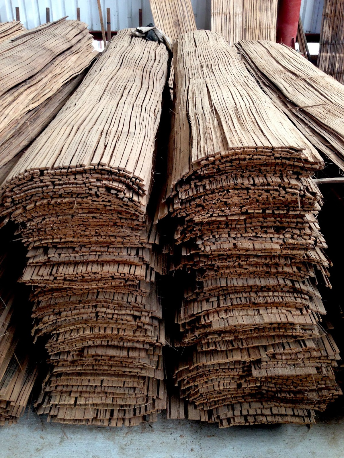 Arquitectura con bambú: Usos y partes de la guadua