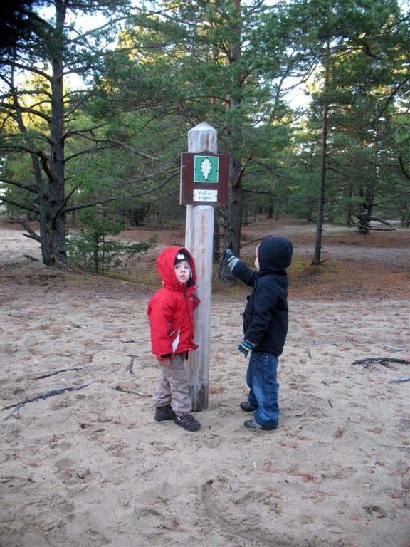 Jūra tur kur Gauja ietek... - Mammas Rokas