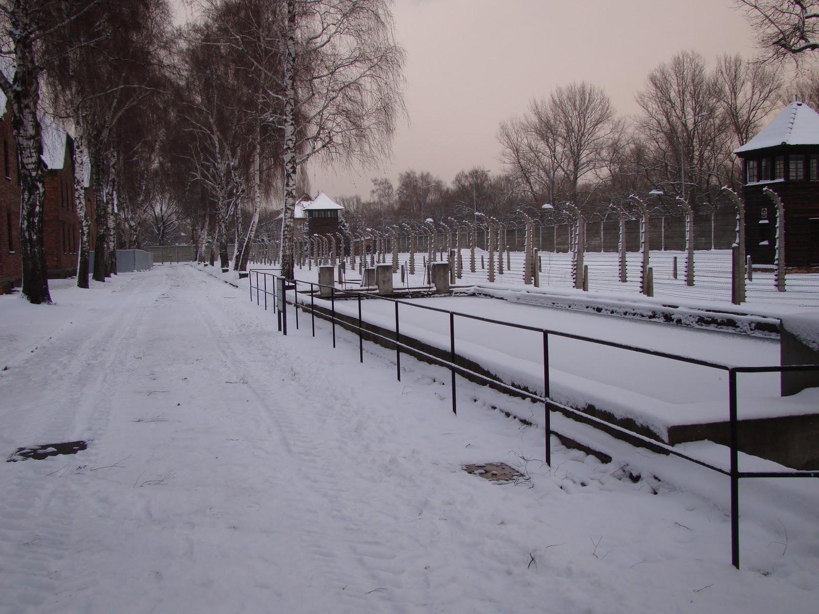 Auschwitz 2012: Auschwitz 1: The Swimming Pool