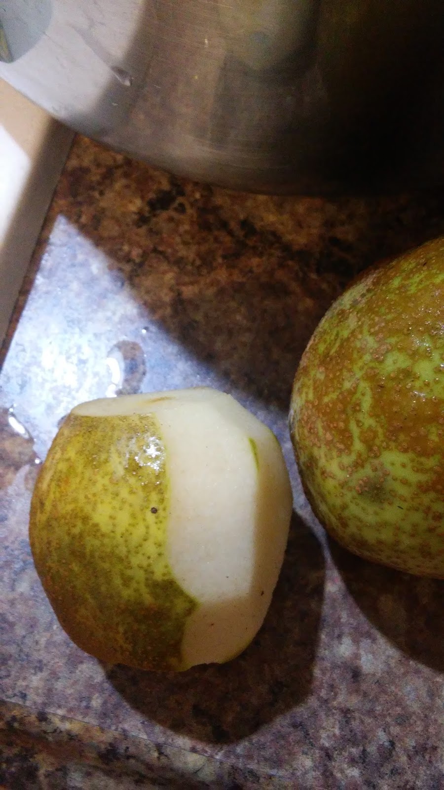 DELIGHTED HANDS: Sand Pear Sauce