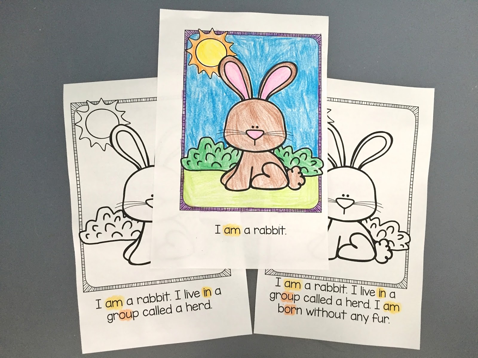 I Am a Rabbit Differentiated Readers Plus a FREEBIE | The Barefoot Teacher