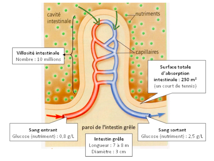 Mon BlogSVT: mars 2014