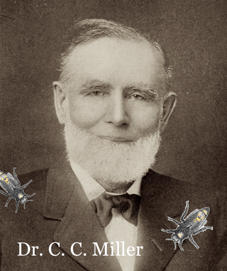 The Promise of Seeds: Magic in a Packet: 1920 - Chapman's Honey-plant ...