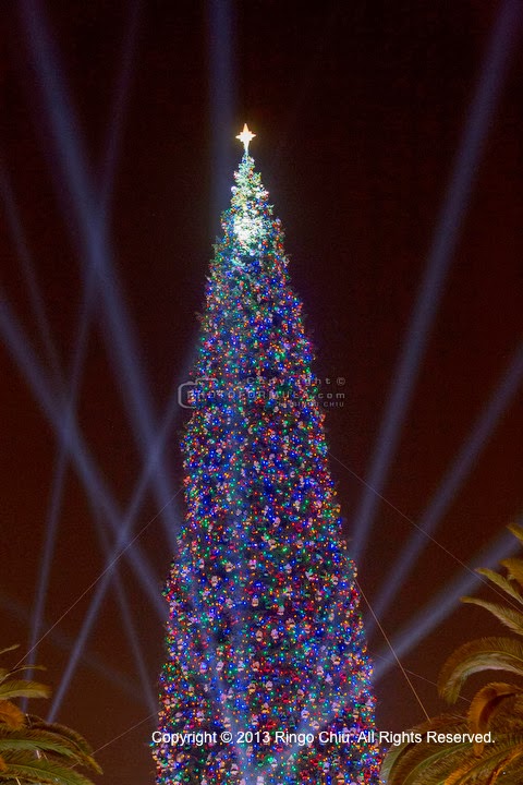 Ringo Chiu Photography: The world's tallest Christmas tree in Los Angeles