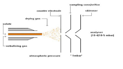 ORGANIC SPECTROSCOPY: ELECTROSPRAY IONIZATION