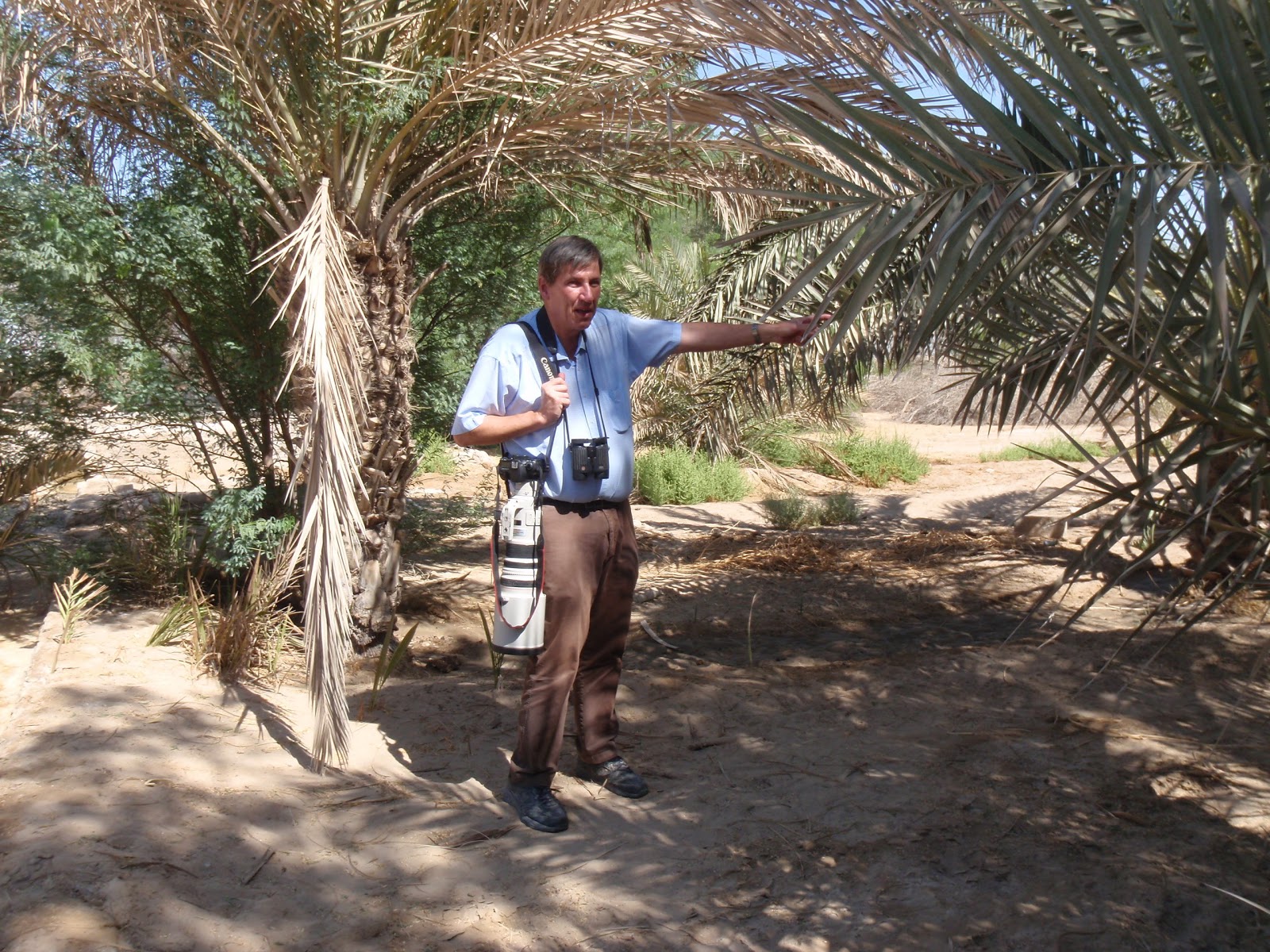 Athens Nature Journal: Nature Visit to Kuwait in late September