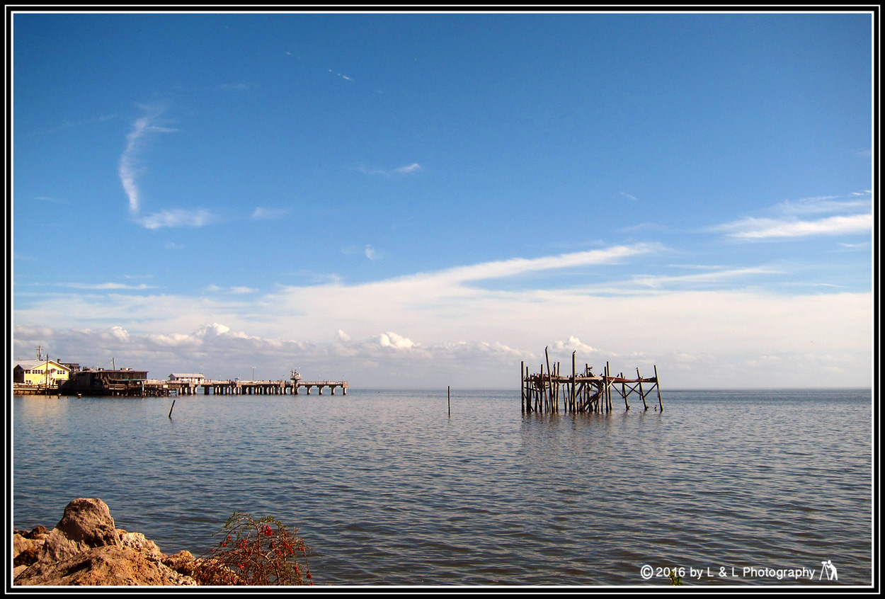 Ocala, Central Florida & Beyond: Panorama - Looking Back at the Cedar ...
