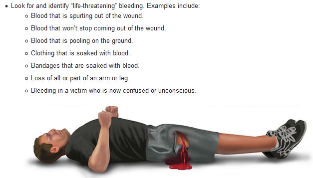 Cheat Sheet of Champaign County: Saving Local Kids from Bleeding Out