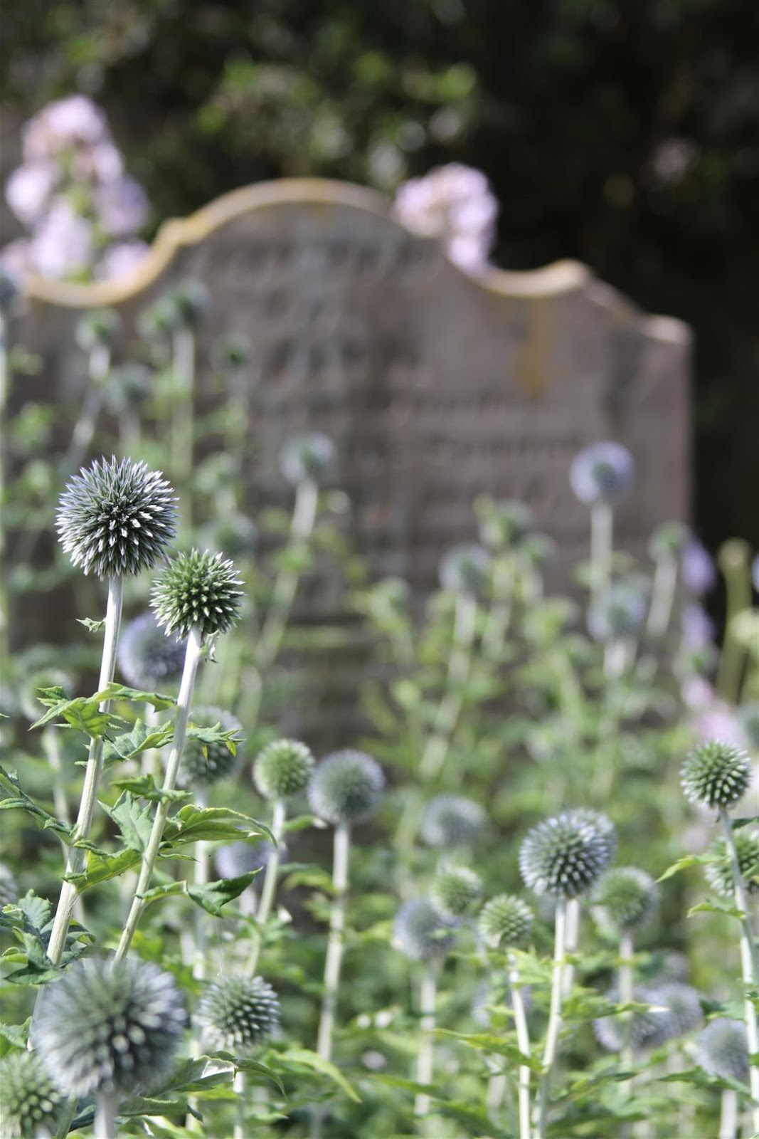 emuse: Dundee Howff cemetery