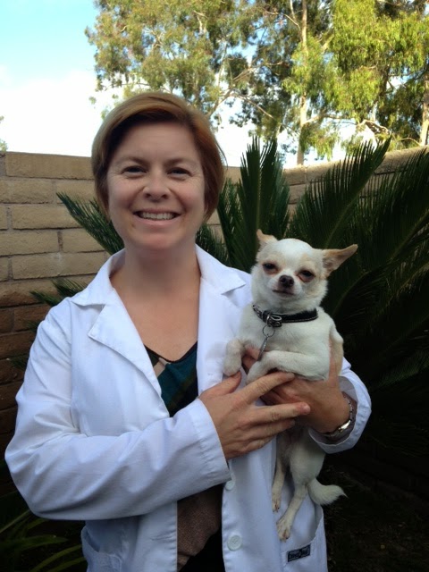 Laguna Hills Animal Hospital: Welcome Dr. Bohn!