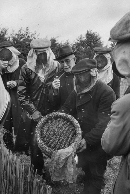 Beekeepers of the 1950s: Vintage Photos From a Busy Bee Market in the ...