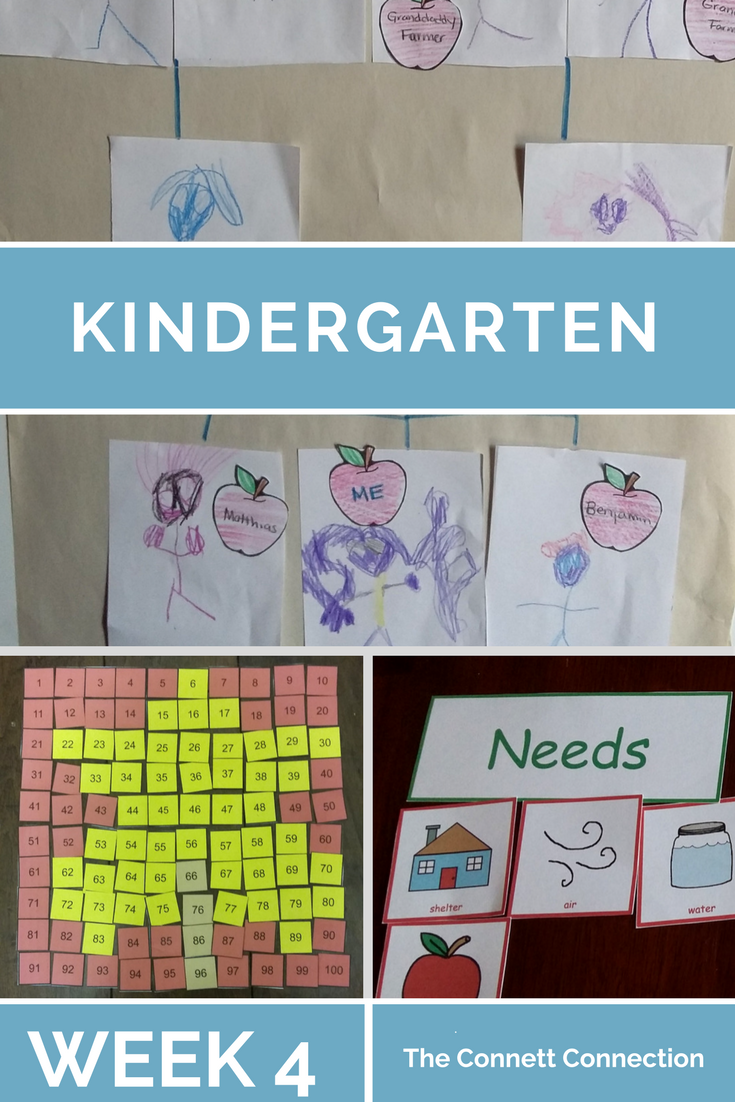 Kindergarten Week 4