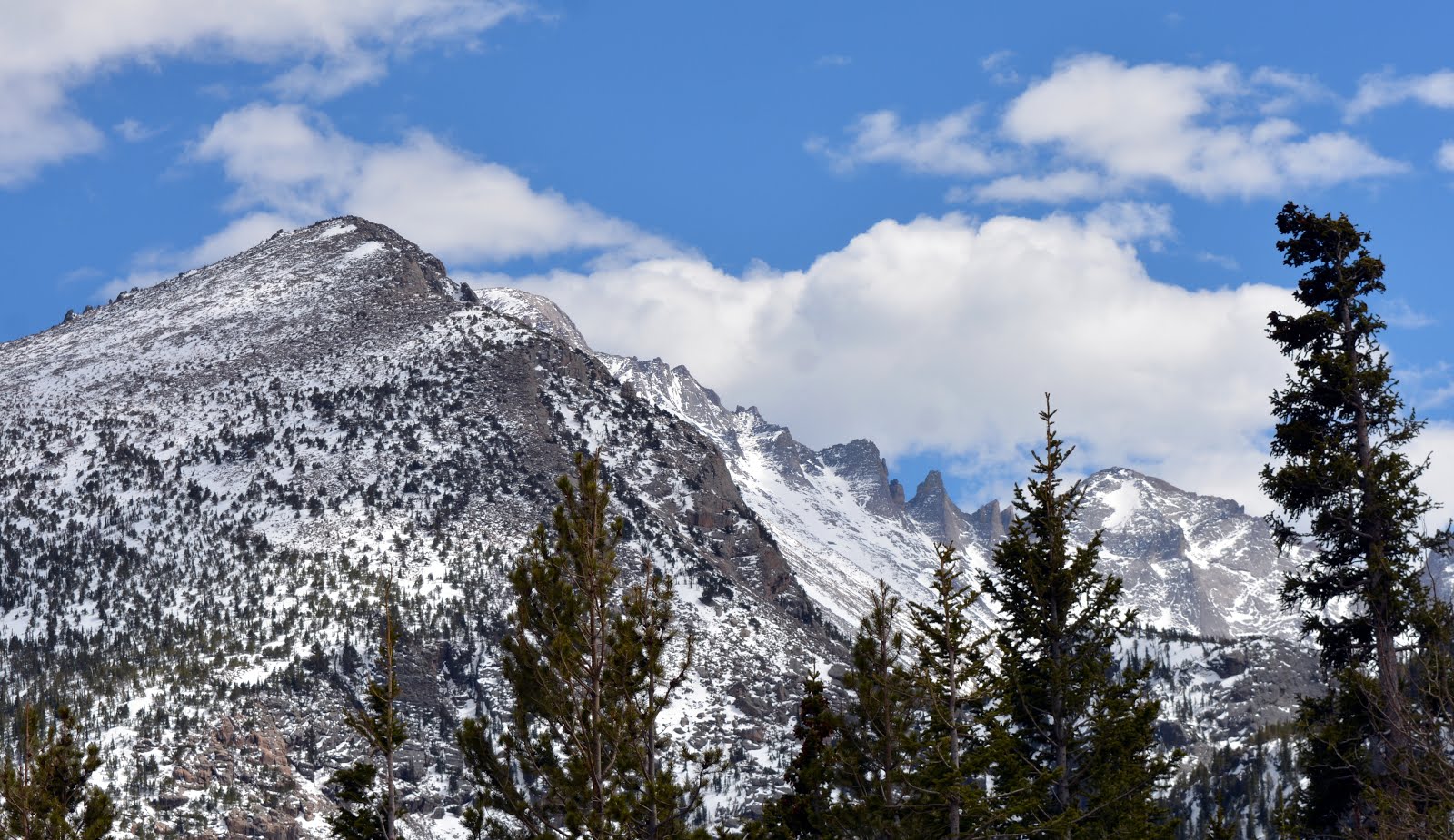 Mille Fiori Favoriti: Pink Saturday - Pink Trees