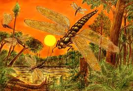 Libélulas gigantes del Carbonífero (Meganeura)