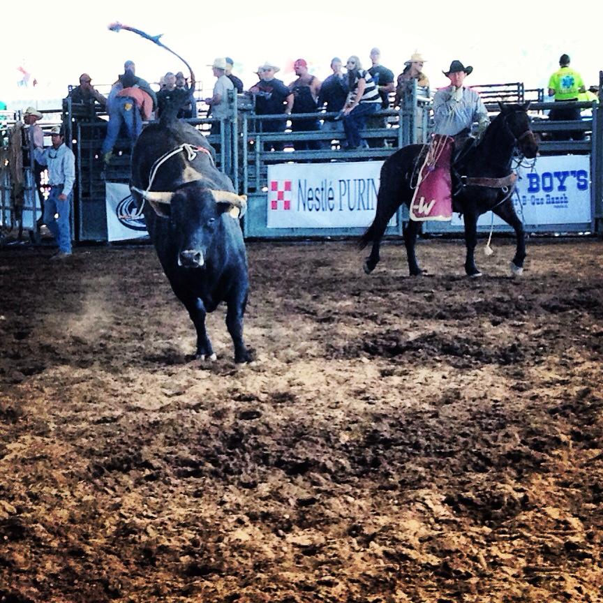 honey and horseshoes: The Dirt is Flying