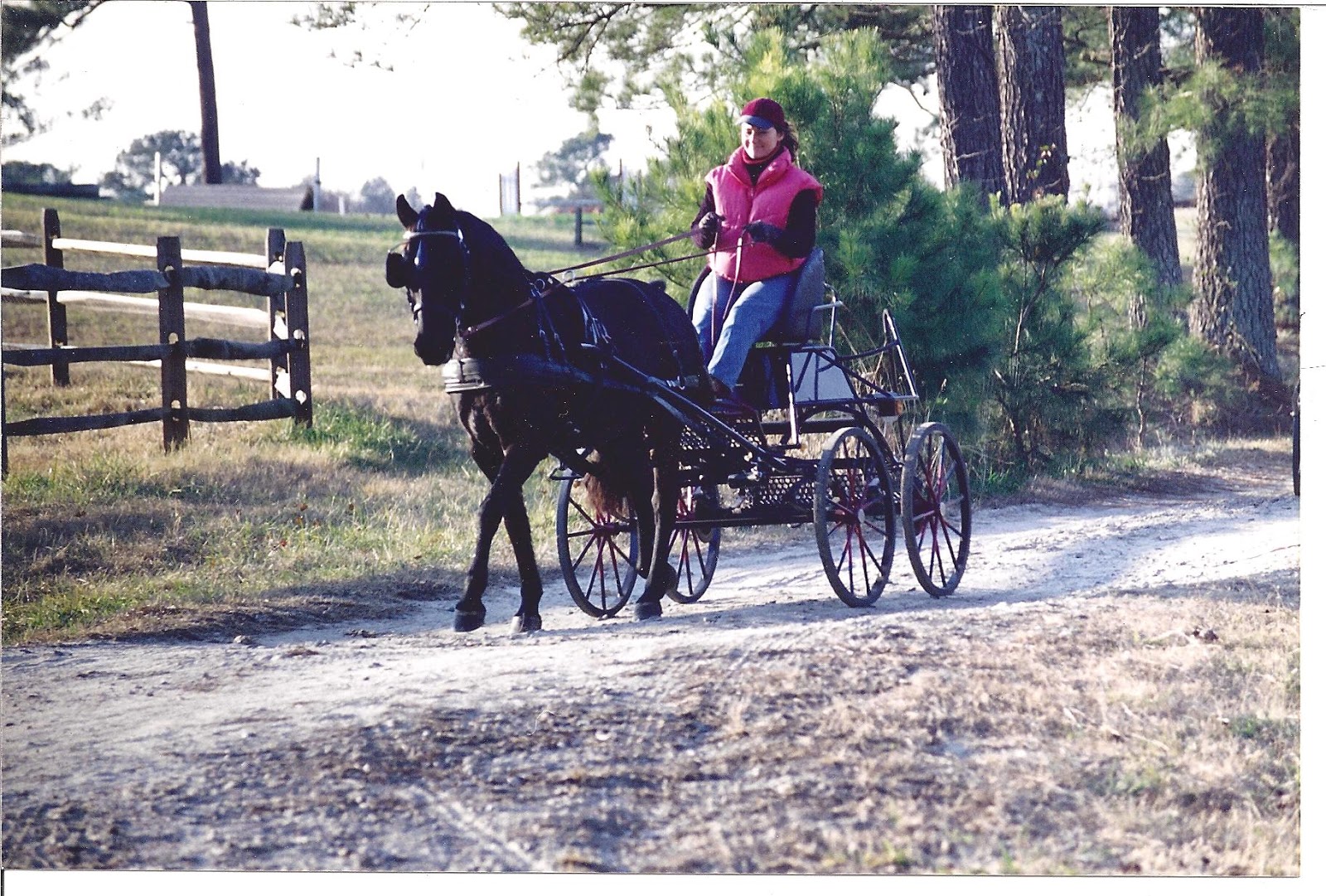 Horses are my passion: JMF Anna Beam Gone to Glory!