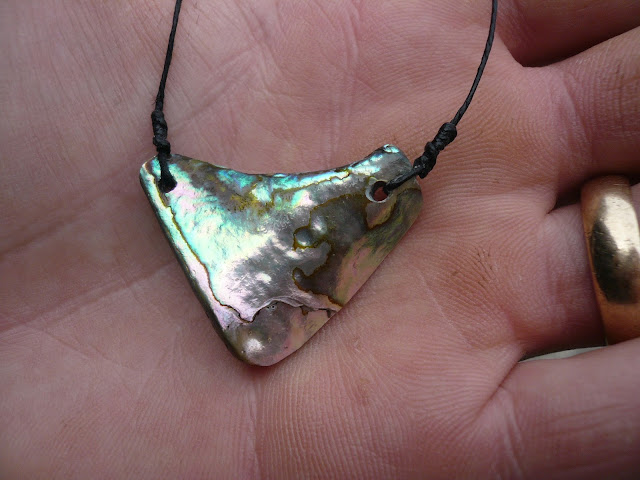 Countryman: Foraging California's Wild Side: Freediving for Abalone ...