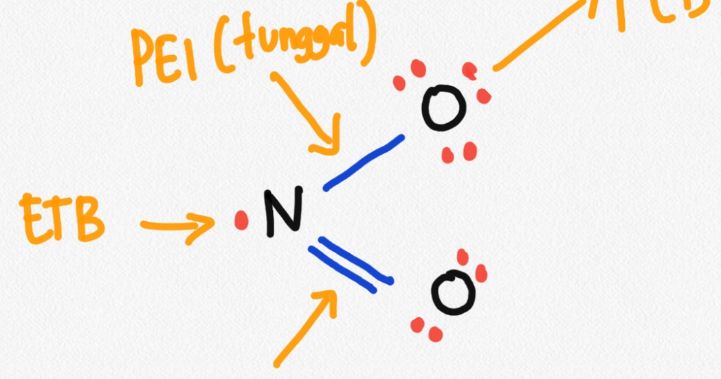 Ratu Kimia: Menentukan Muatan Formal