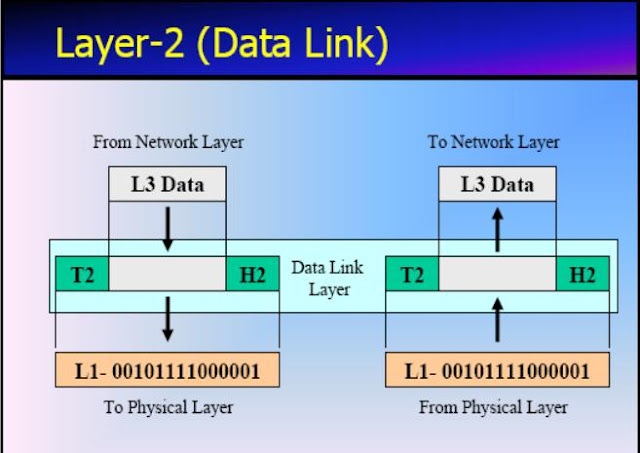 Networking(DCCN): OSI Reference Model