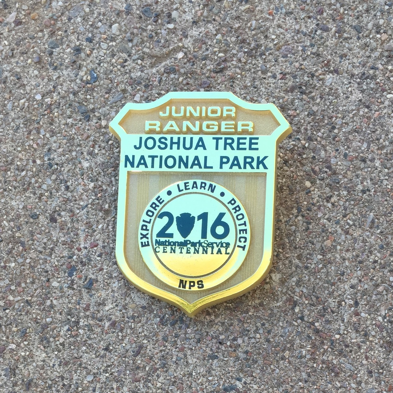 Junior Rangering: Junior Ranger Review: Joshua Tree National Park