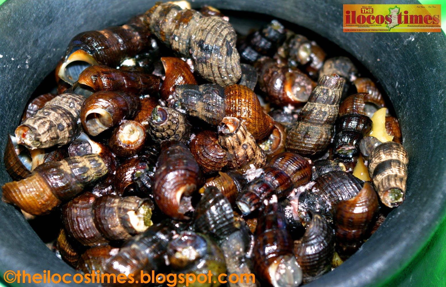 Solsona’s Gameng Festival presents exotic food fair