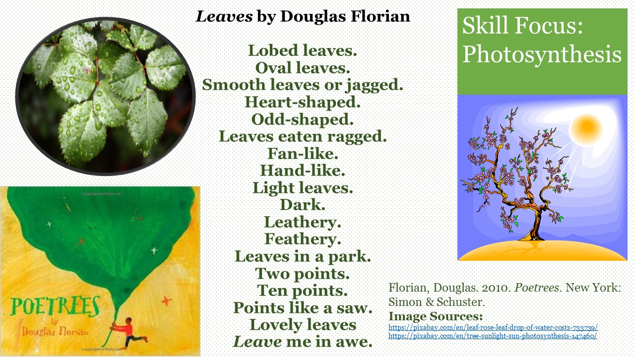 Poetry for Children: Science + Poetry = Trees