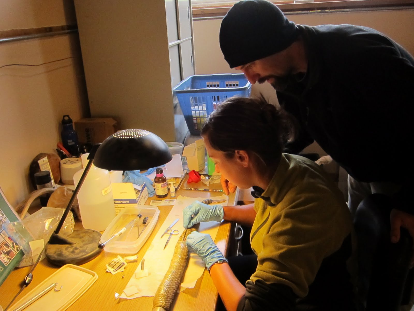 Strike, Rattle, & Roll: My First Snake Surgery!