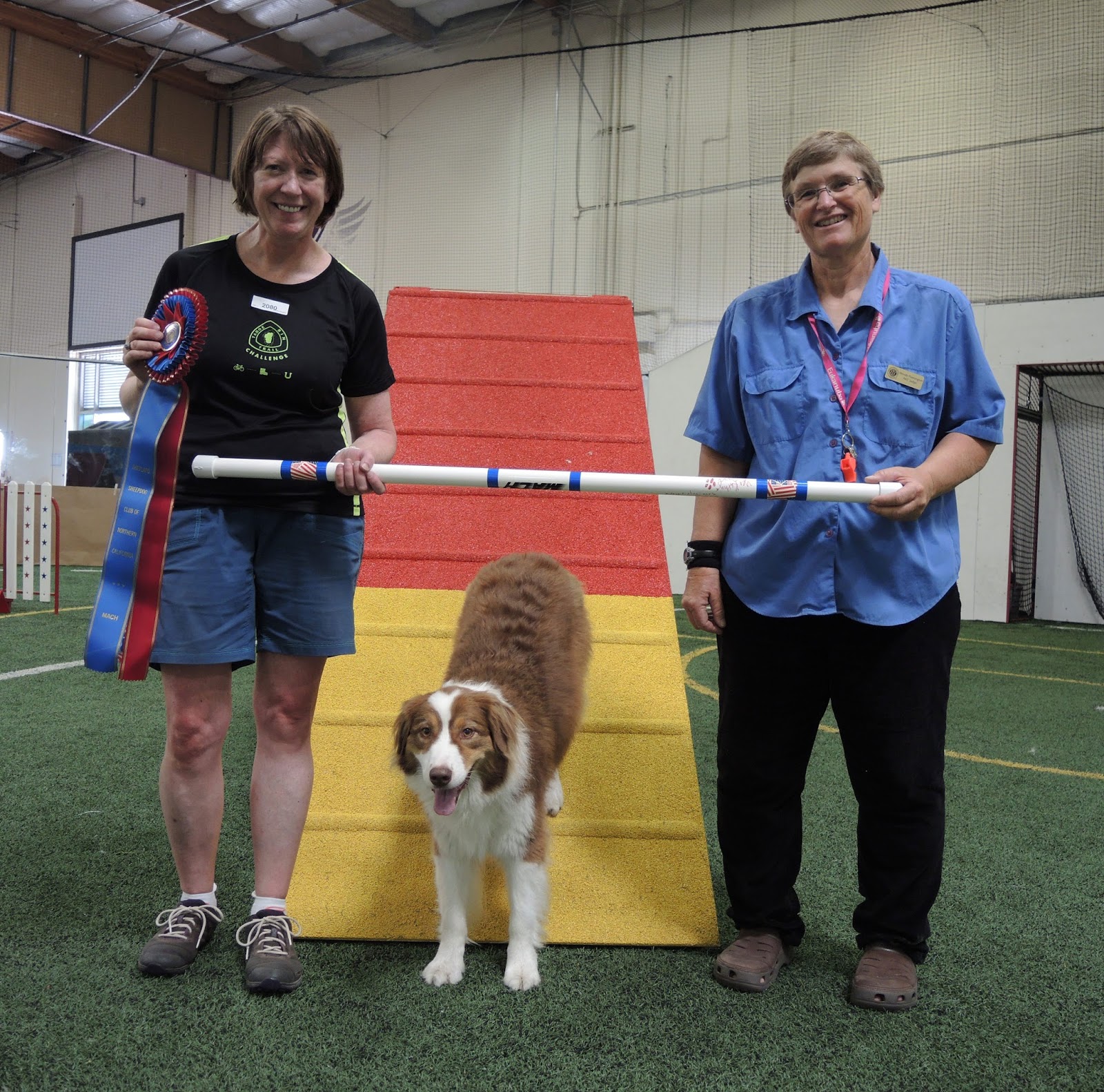 Stonepine Australian Shepherds