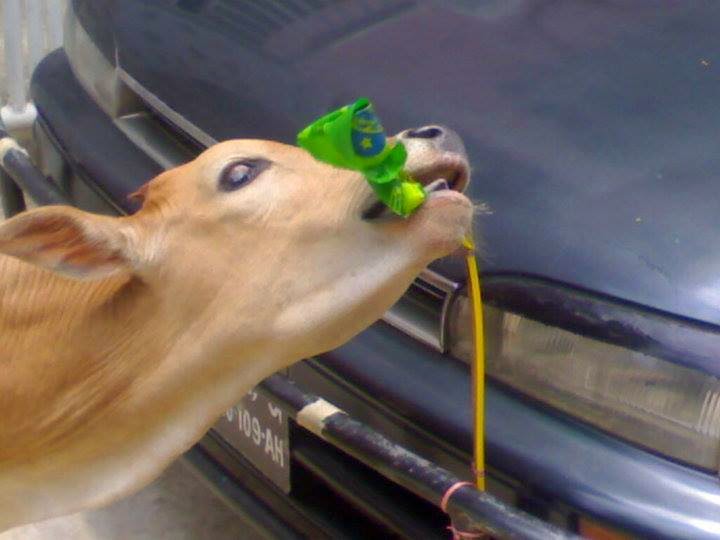 Most funny Bangla FB comment photo - FIFA Cup 2014 Funny Comment ...