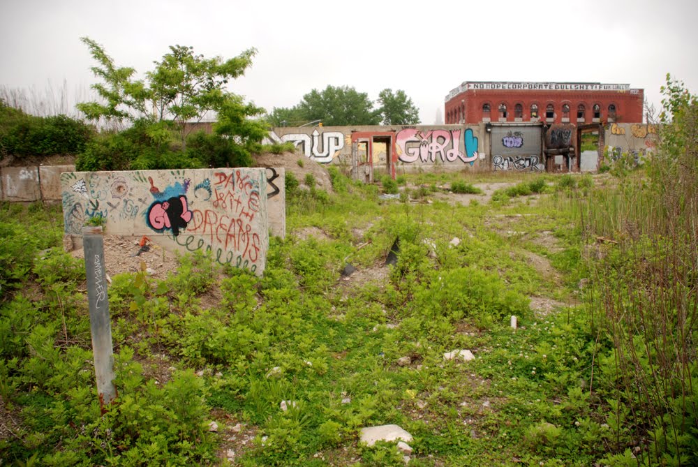 Nathan Kensinger Photography: Gowanus Canal: Toxic Playground