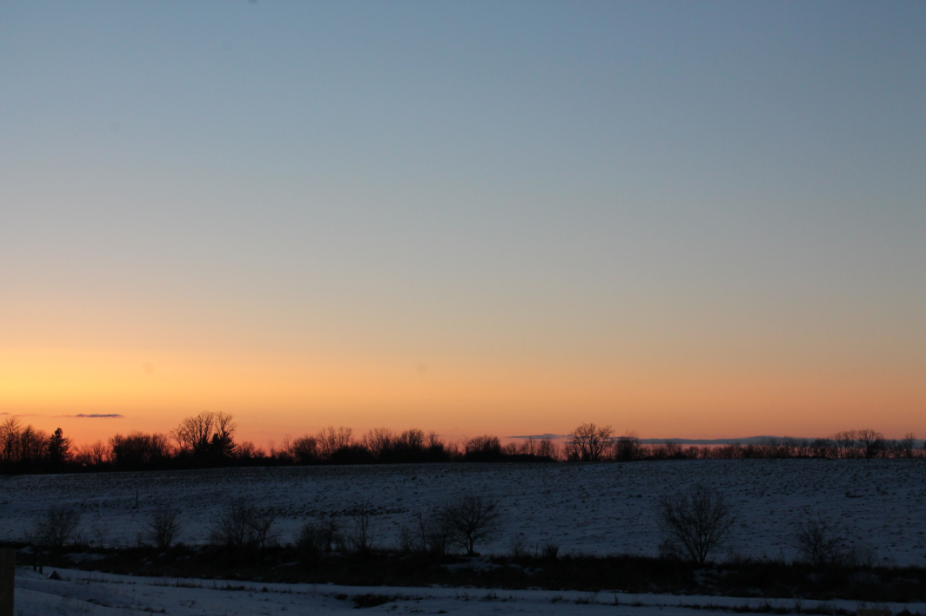 Truth or Dairy: March scenes